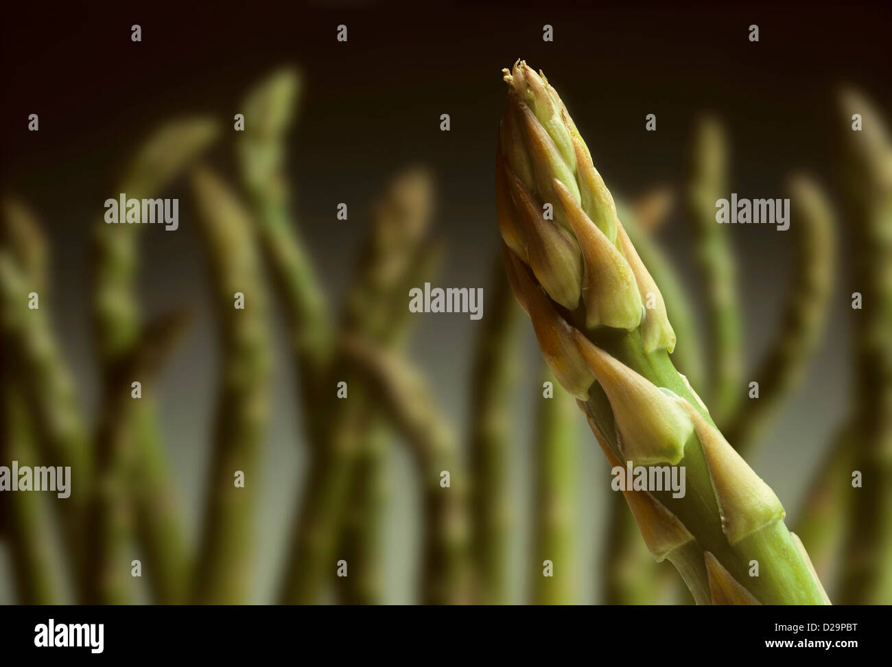 Farming others hi-res stock photography and images - Alamy