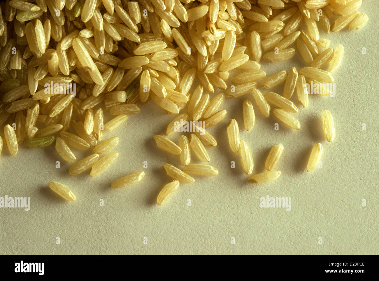 Monocot seed hi-res stock photography and images - Alamy