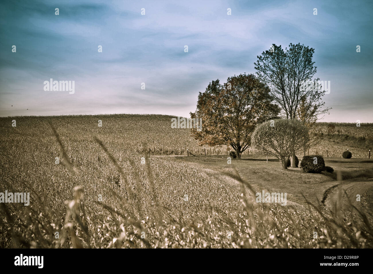 Estrie hi-res stock photography and images - Alamy