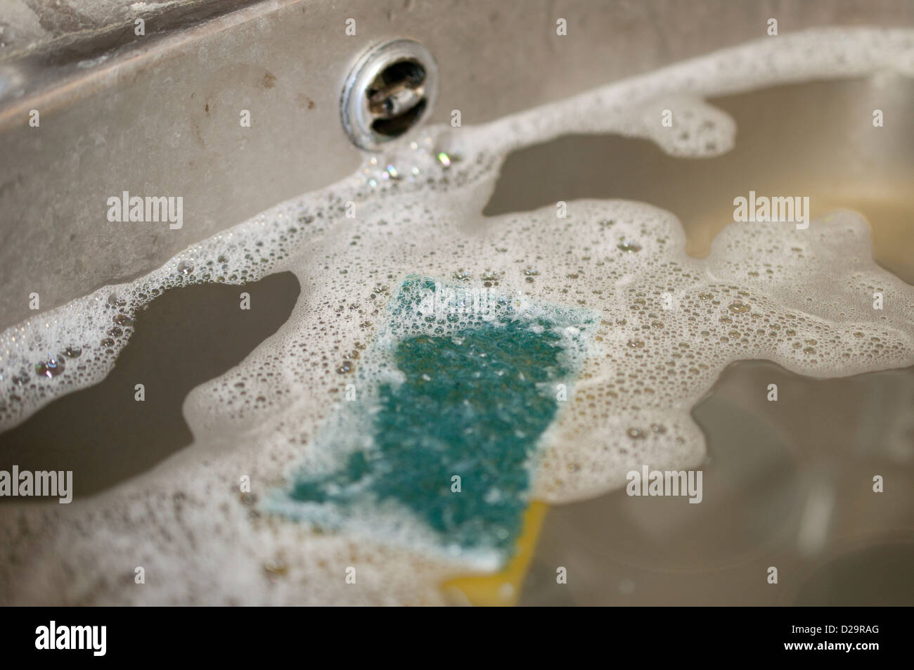 A sponge floats in washing up water in a dirty sink Stock Photo - Alamy