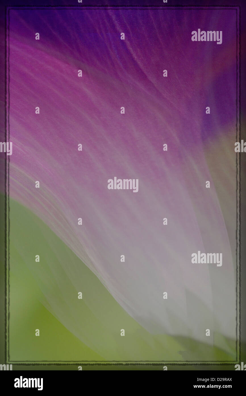 Mellow colors hi-res stock photography and images - Alamy