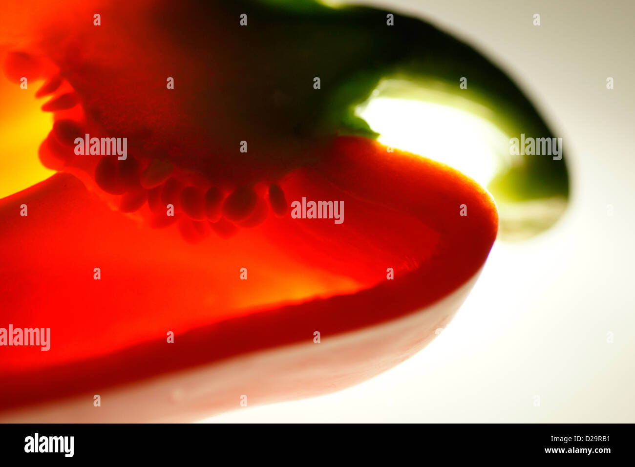 Pimento plant hi-res stock photography and images - Alamy