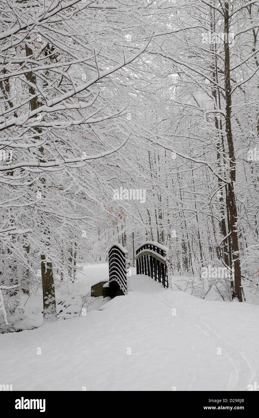 Virginia, Snow Scene Stock Photo - Alamy