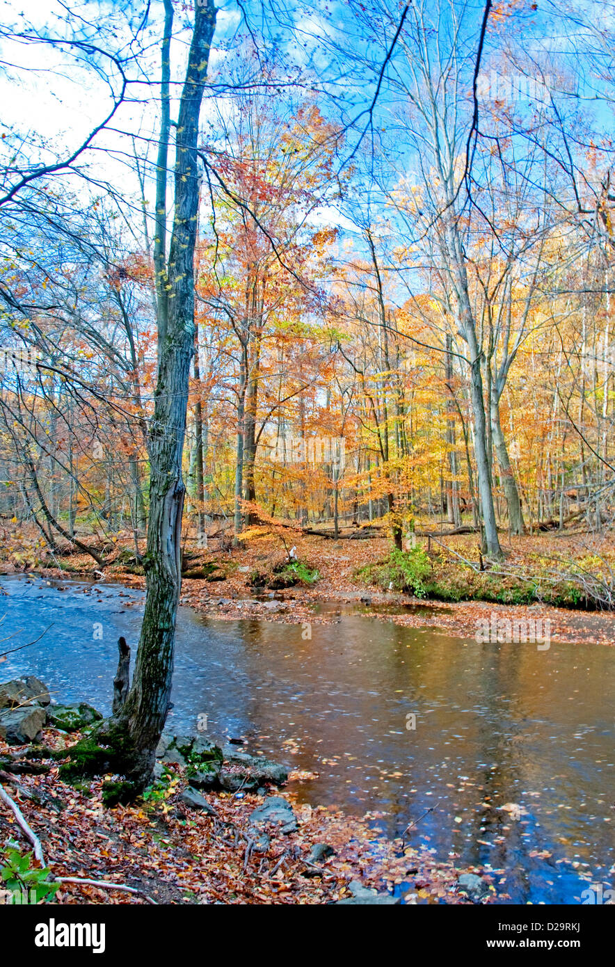 Late Fall, Pennsylvania Stream Stock Photo - Alamy