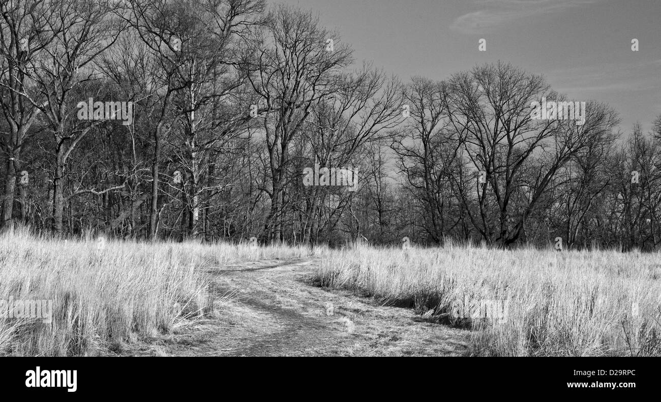 My conservation Black and White Stock Photos & Images - Alamy