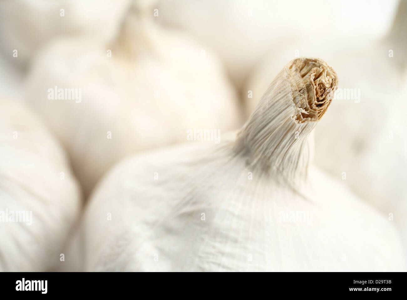 Edible bulbs hi-res stock photography and images - Alamy