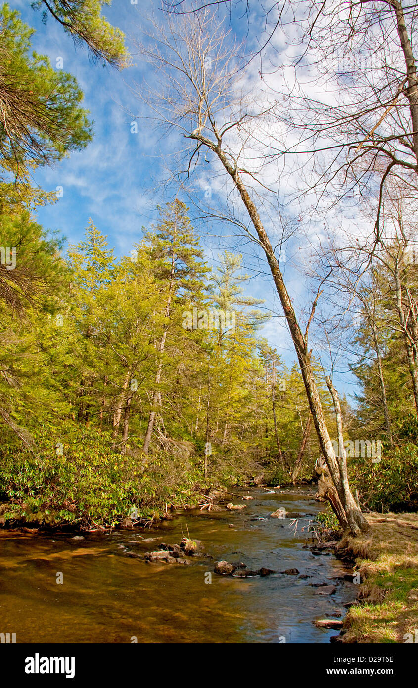 Pocono Mountain Stream in Spring Stock Photo - Alamy