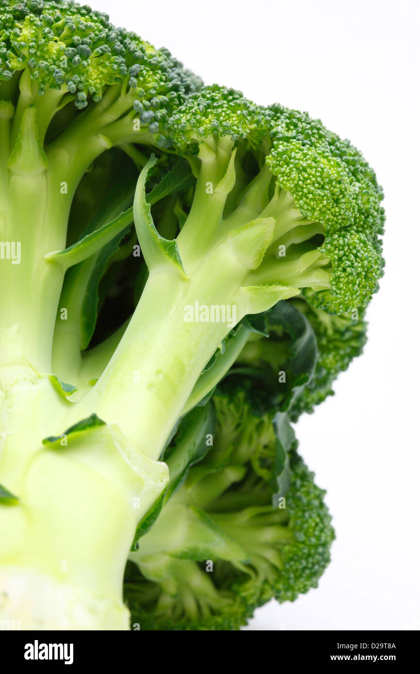 Broccoli on white background Stock Photo - Alamy