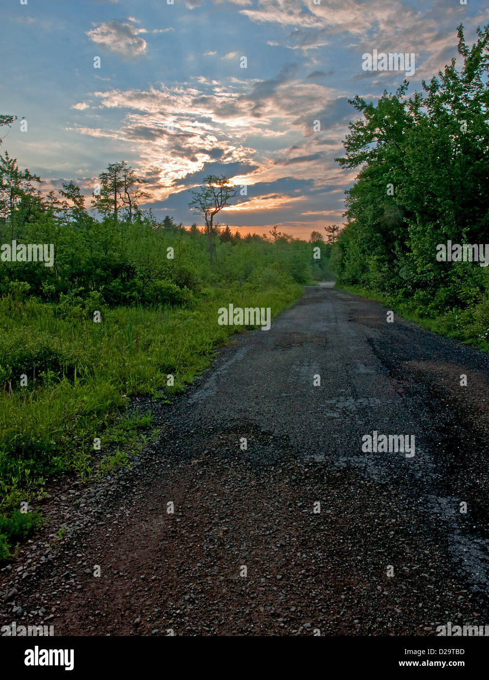 Back road after a rainfall hi-res stock photography and images - Alamy