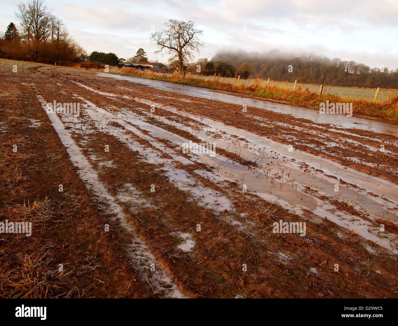 In ffairfach hi-res stock photography and images - Alamy