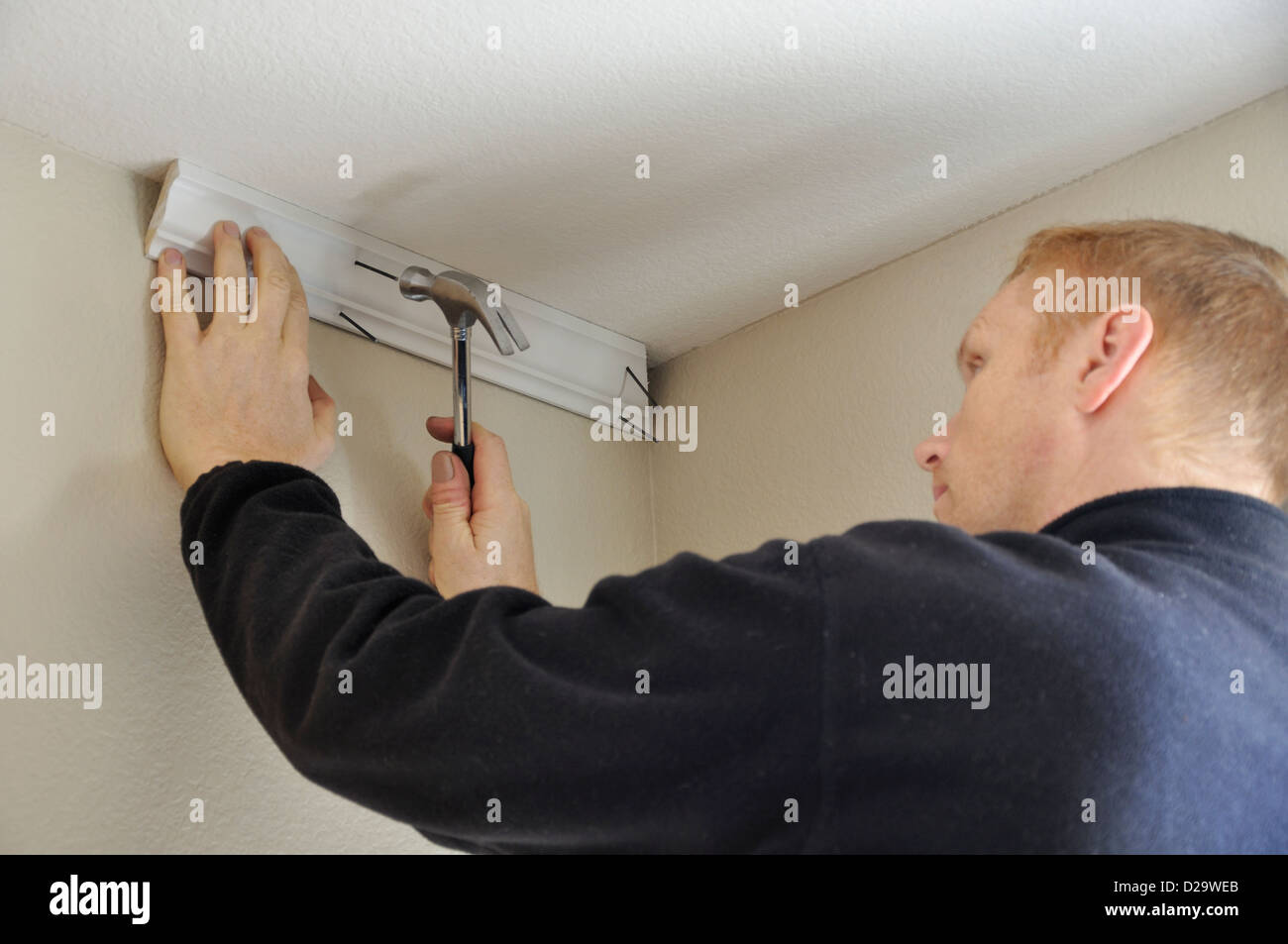Installing crown molding Stock Photo - Alamy