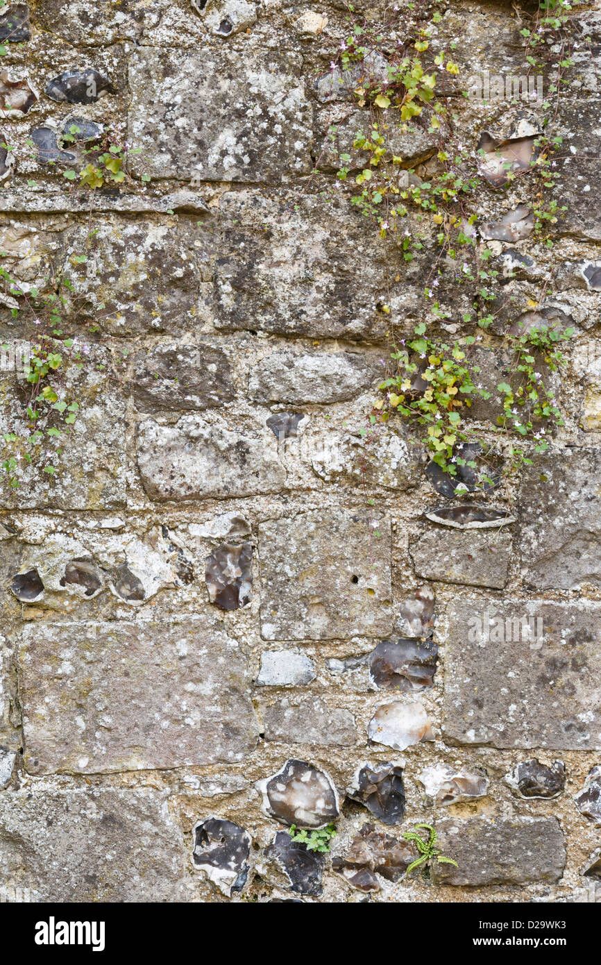 Medieval design medieval designs High Resolution Stock Photography and ...