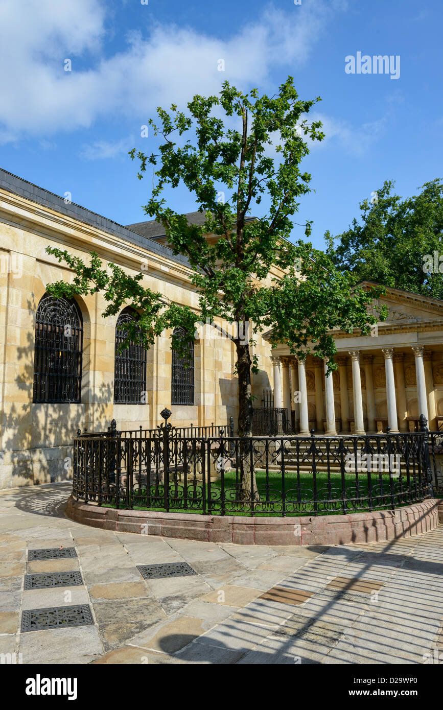 New Gernika tree, in the exterior garden of "Casa de Juntas". Pais ...