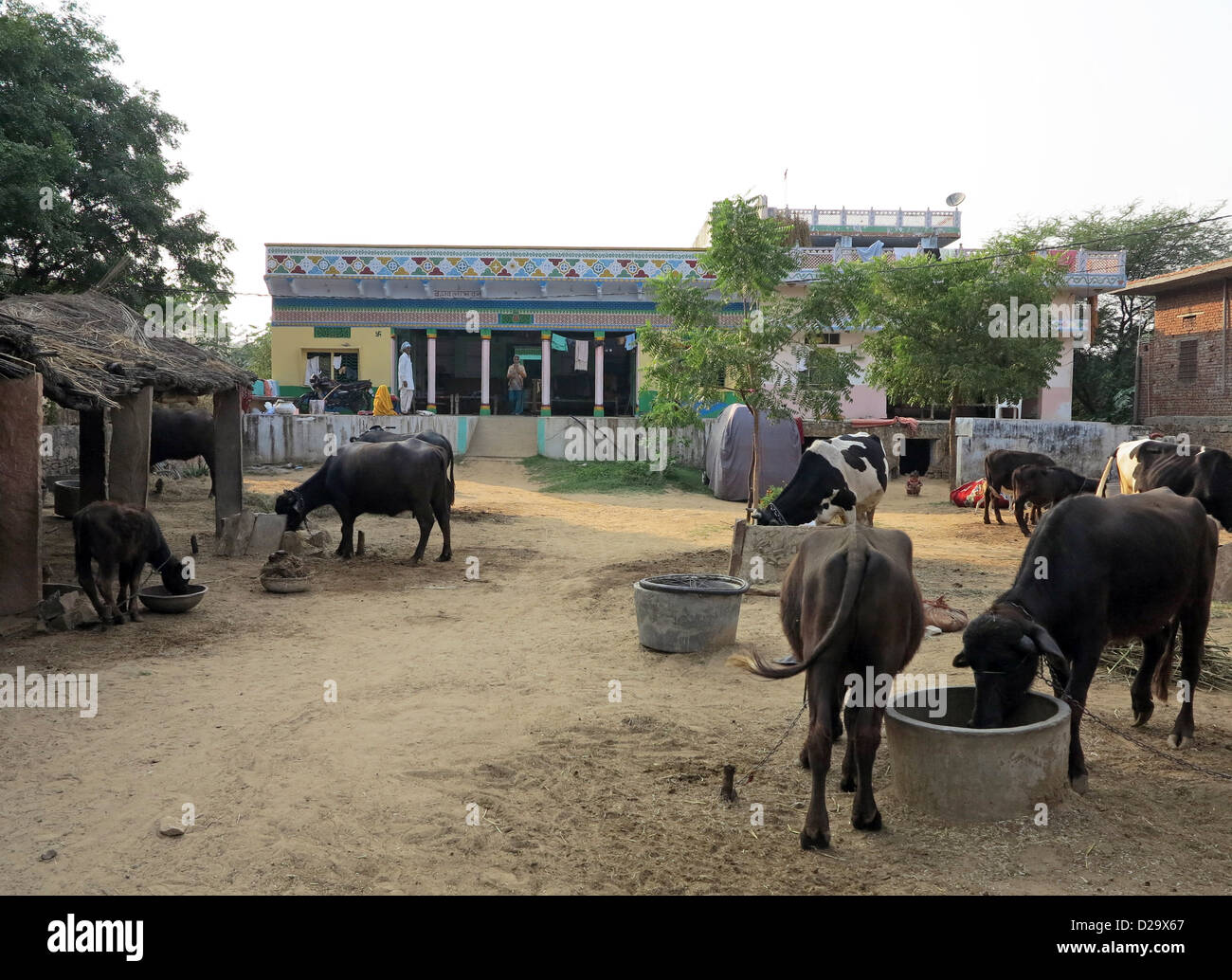 farmhouse in a village in Rajasthan, India Stock Photo - Alamy