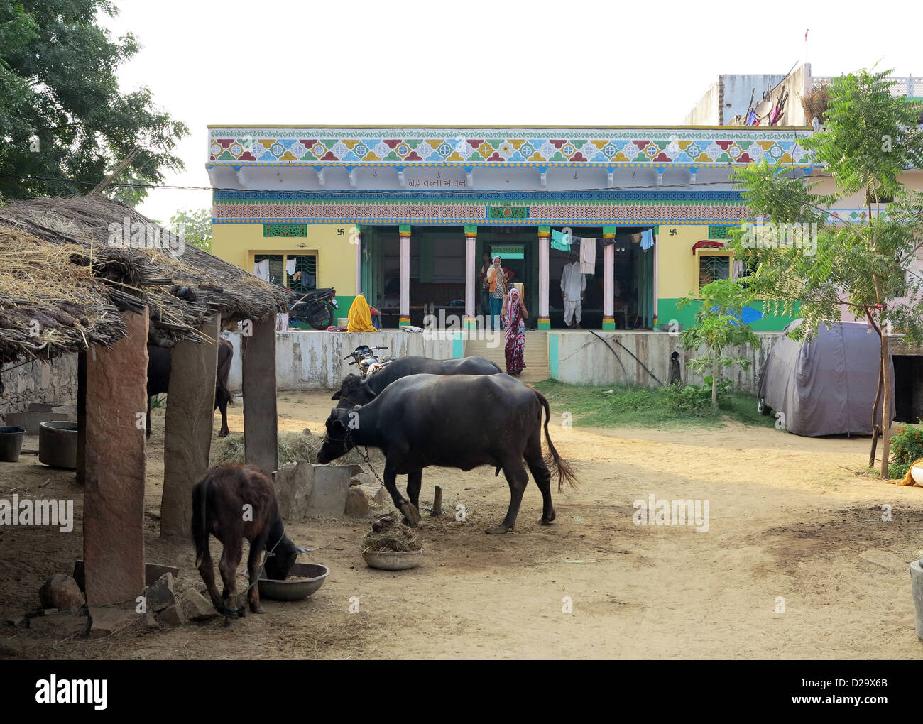 farmhouse in a village in Rajasthan, India Stock Photo - Alamy