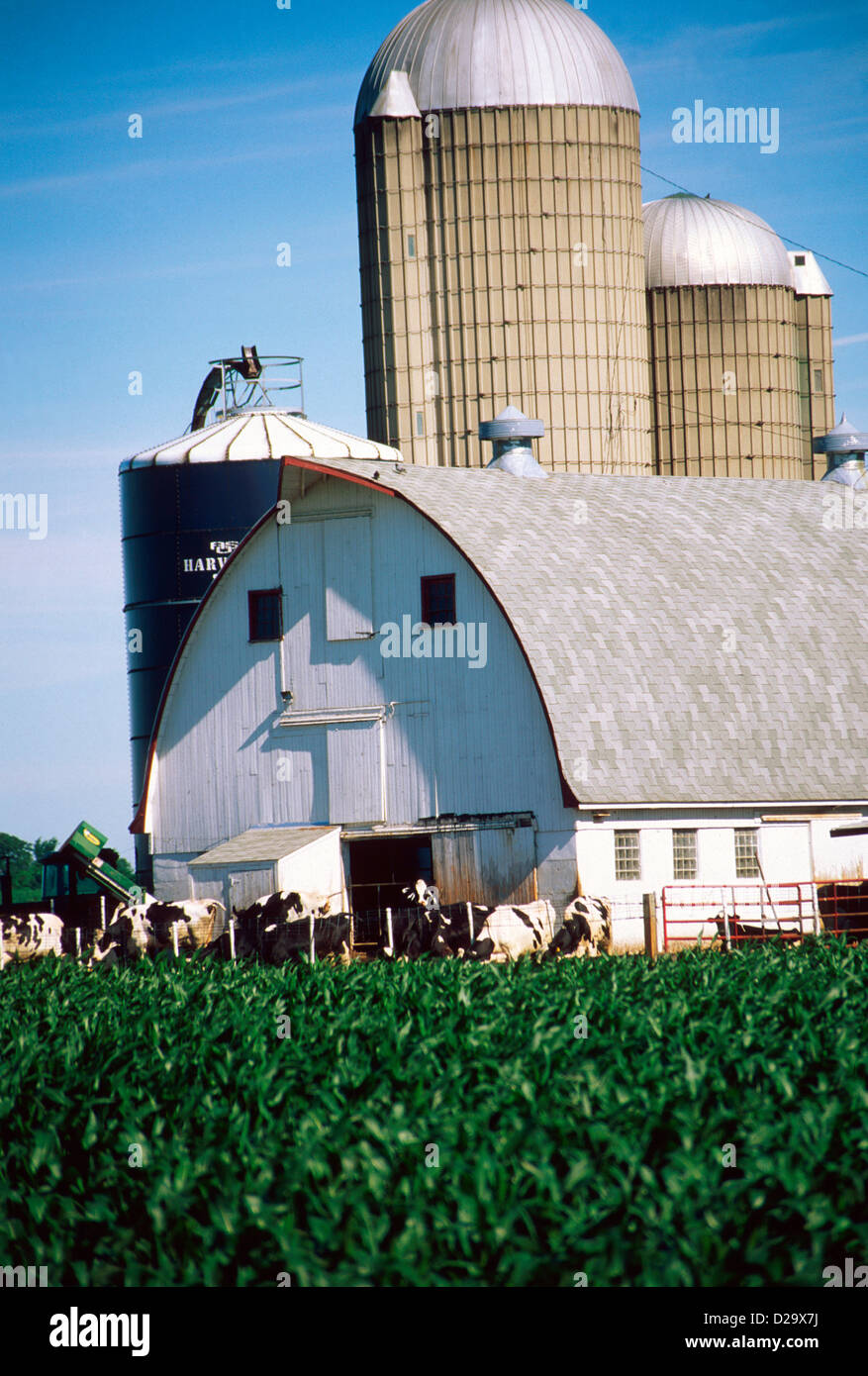 Wisconsin. Barn And Field Of Corn On Farm Stock Photo - Alamy