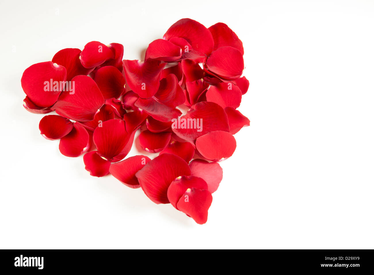 Red flowers in the shape of a heart hi-res stock photography and images ...