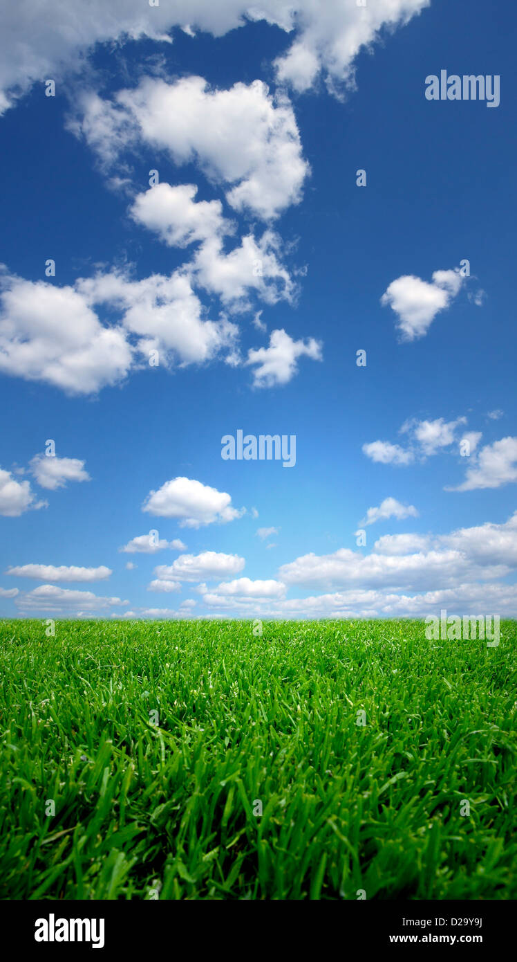 Field and a blue sky Stock Photo - Alamy