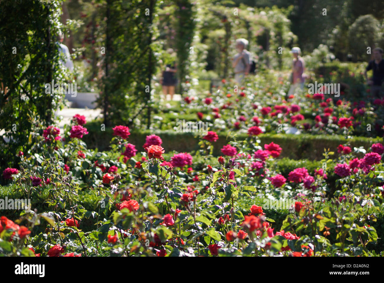 Retiro garden hi-res stock photography and images - Alamy