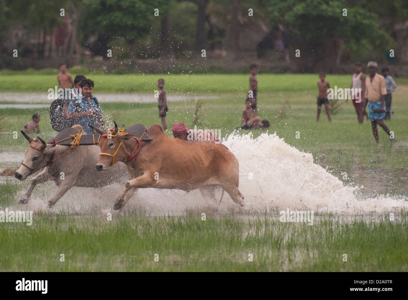 Sport environment hi-res stock photography and images - Alamy