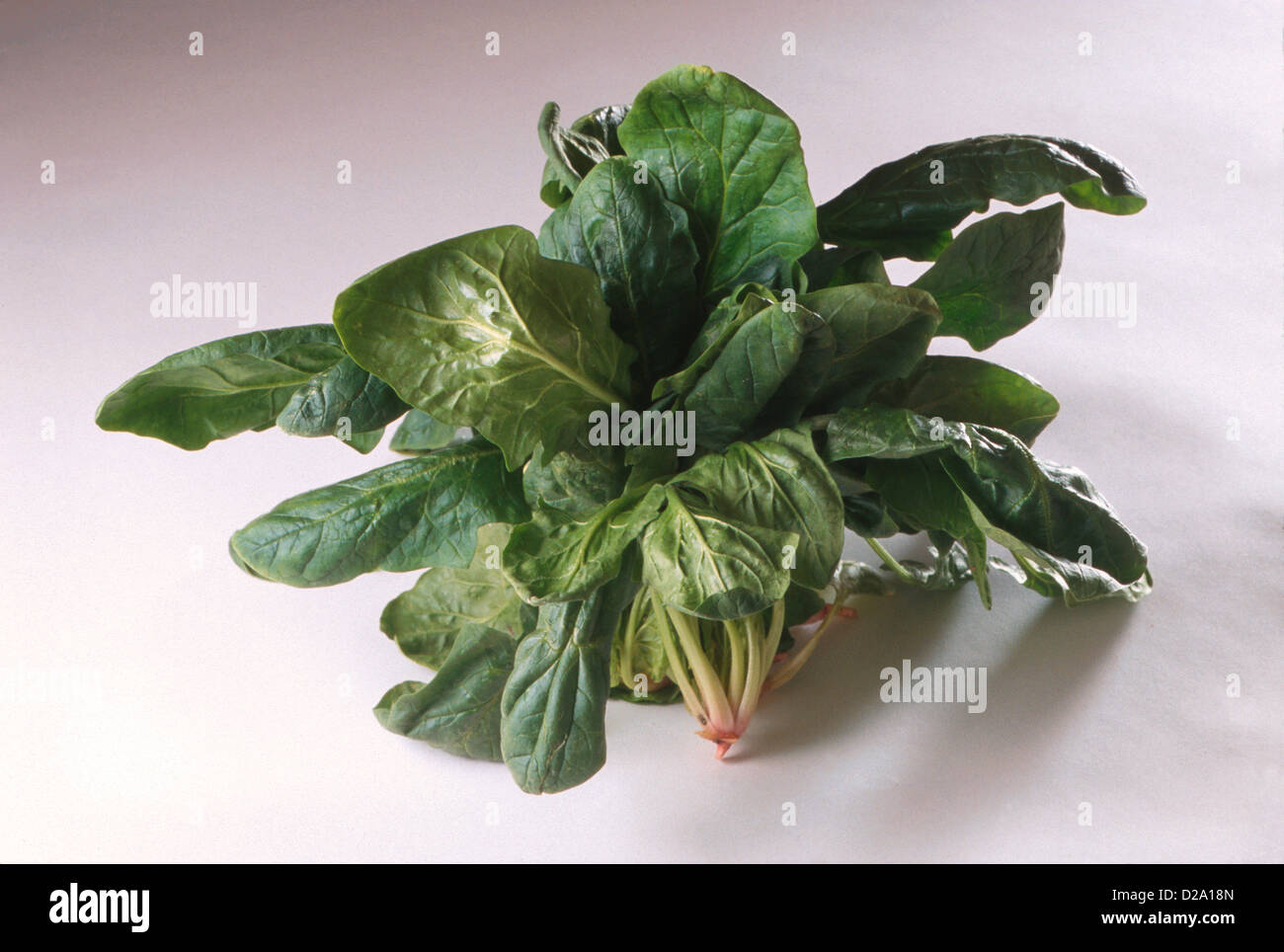 A Bunch Of Spinach Stock Photo - Alamy