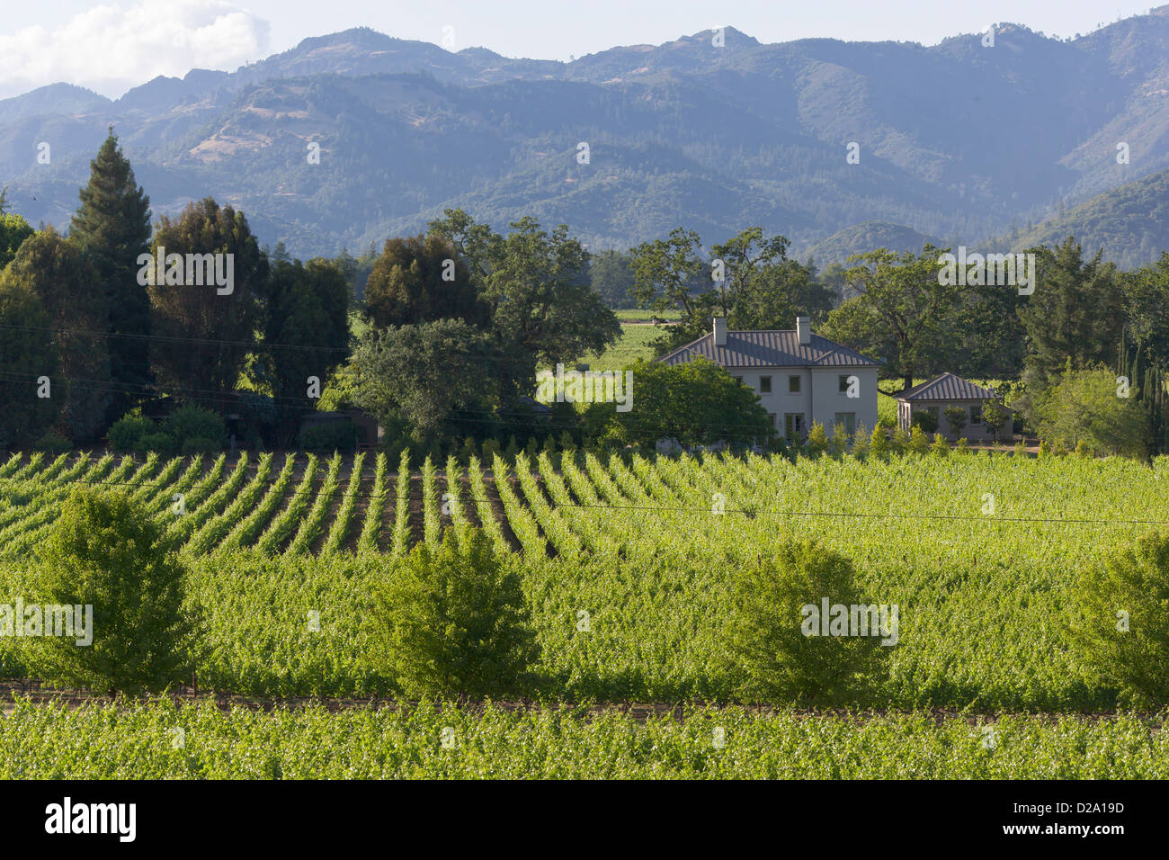 Vine valley hi-res stock photography and images - Alamy