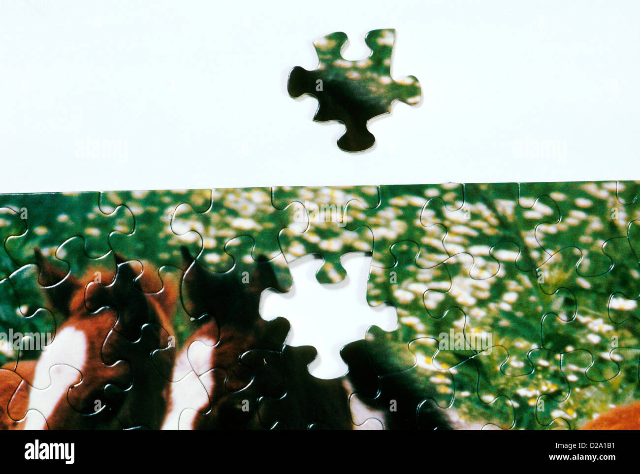 Almost Complete Jigsaw Puzzle Stock Photo - Alamy