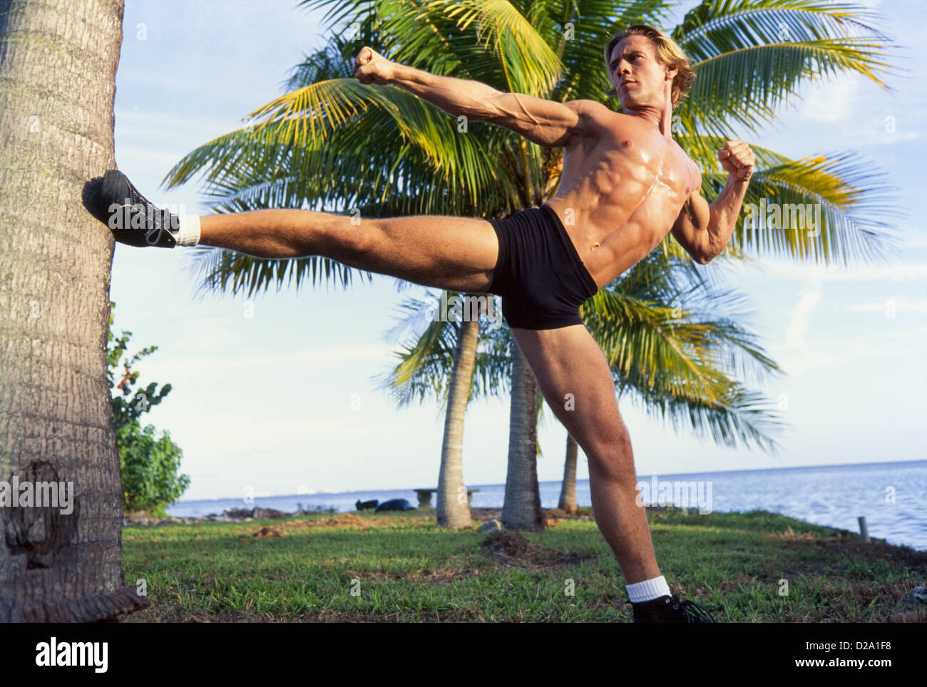 Male athlete practicing Karate, Miami Stock Photo - Alamy