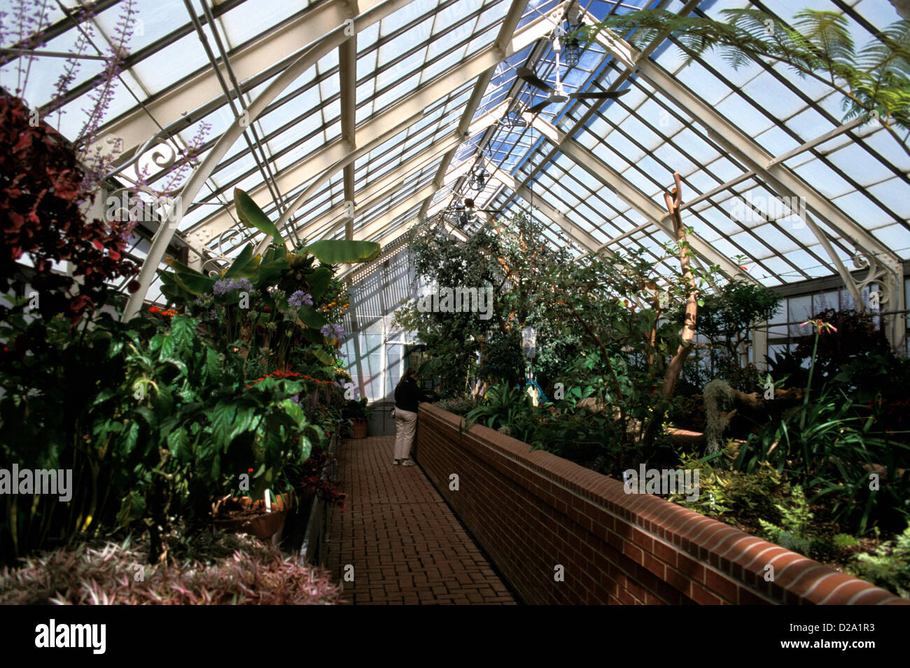 North Carolina, Asheville. Conservatory At Biltmore Estate. Greenhouse ...