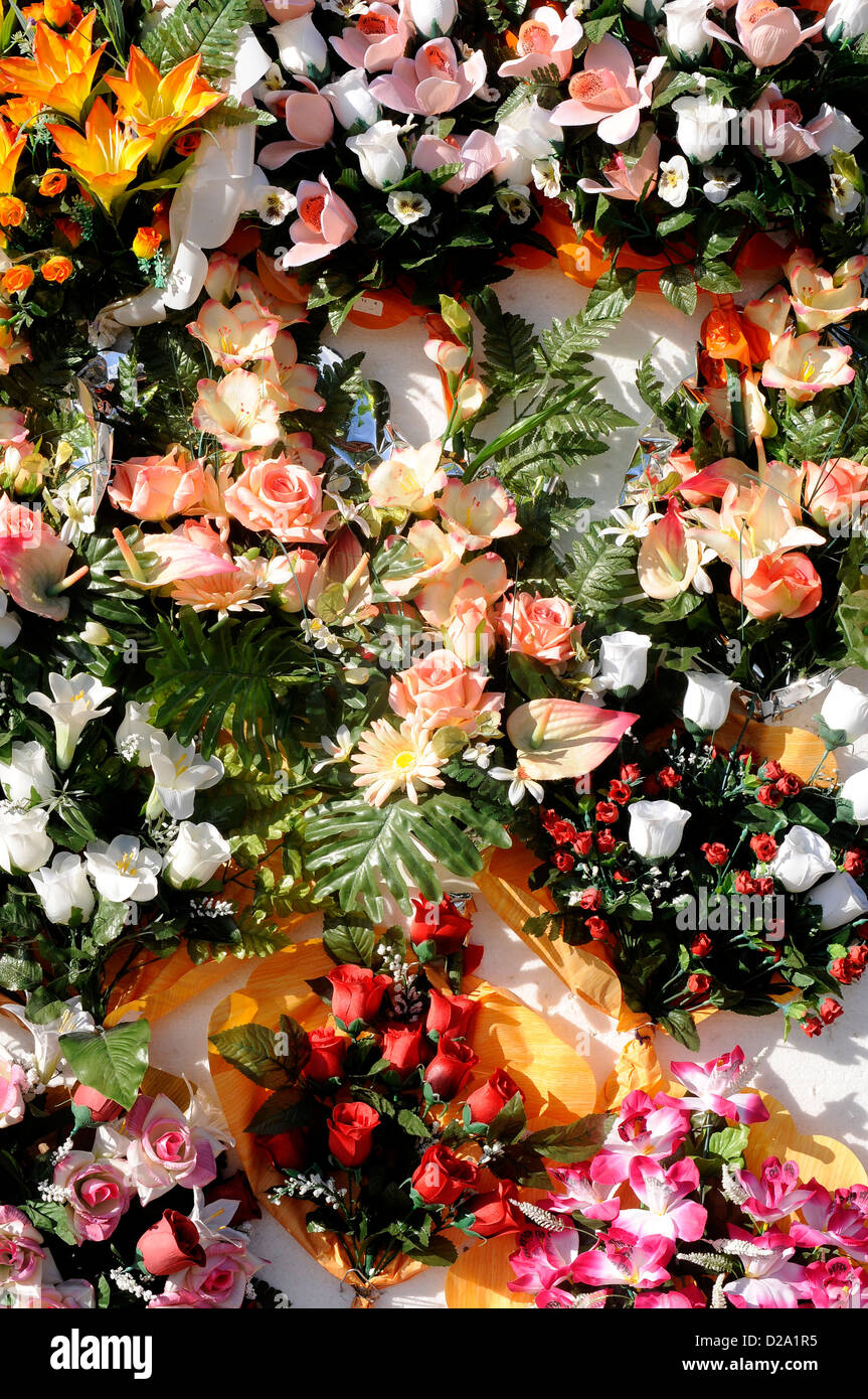 Artificial colored hi-res stock photography and images - Alamy