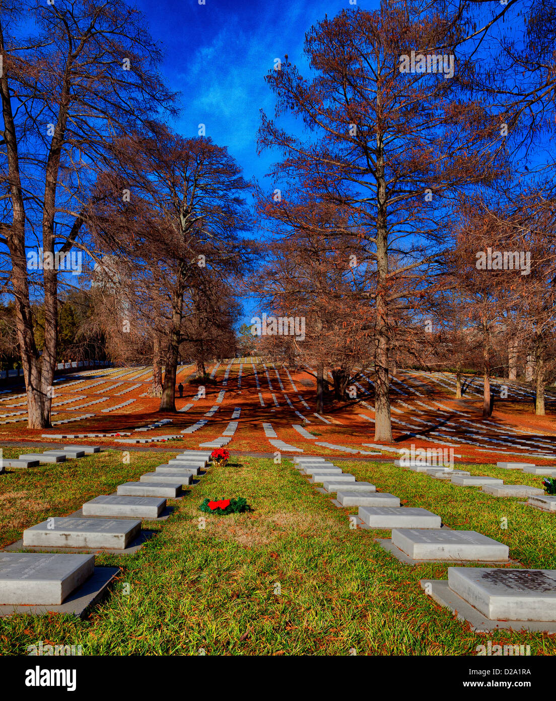 Cemetery rows hi-res stock photography and images - Alamy