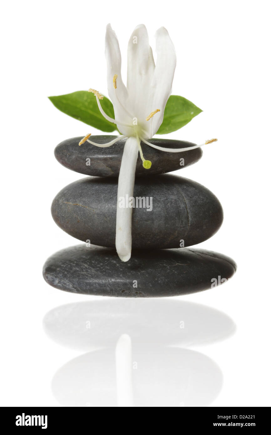 Stacked stones with flower Stock Photo - Alamy