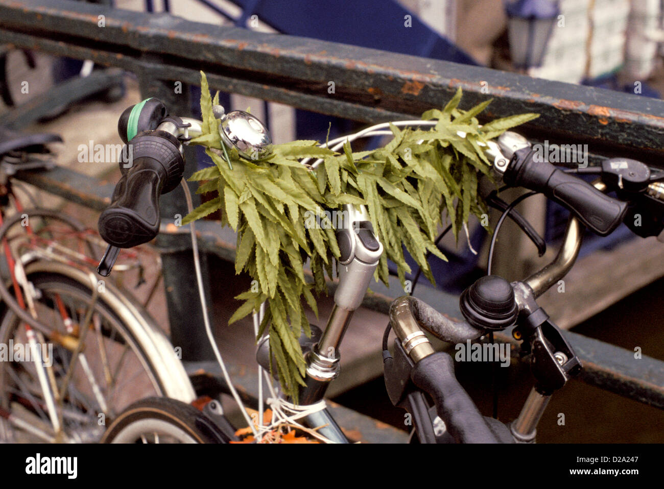 Leaves amsterdam hi-res stock photography and images - Alamy
