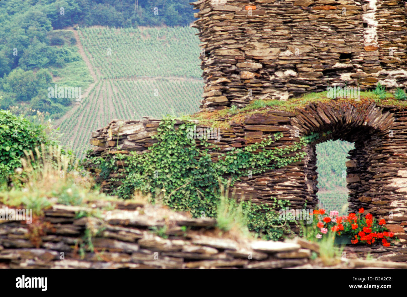 Metternich hi-res stock photography and images - Alamy