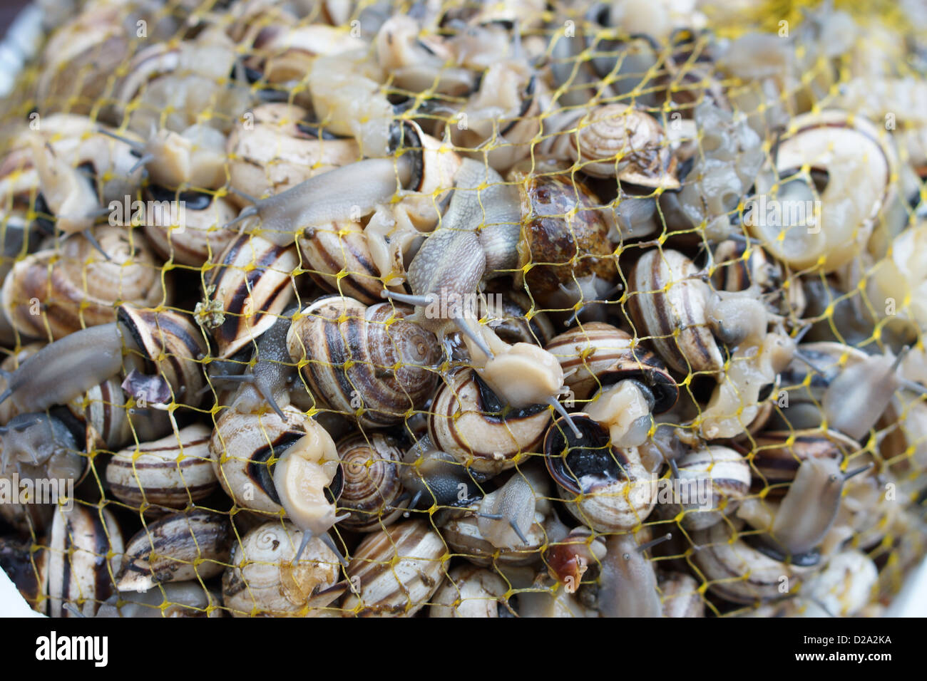 snails food spain andalusia Stock Photo - Alamy