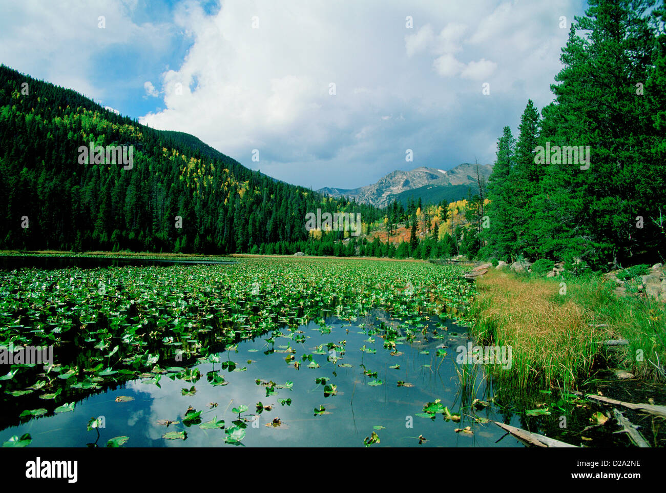 Colorado. Rocky Mountain National Park. Cub Lake Stock Photo - Alamy