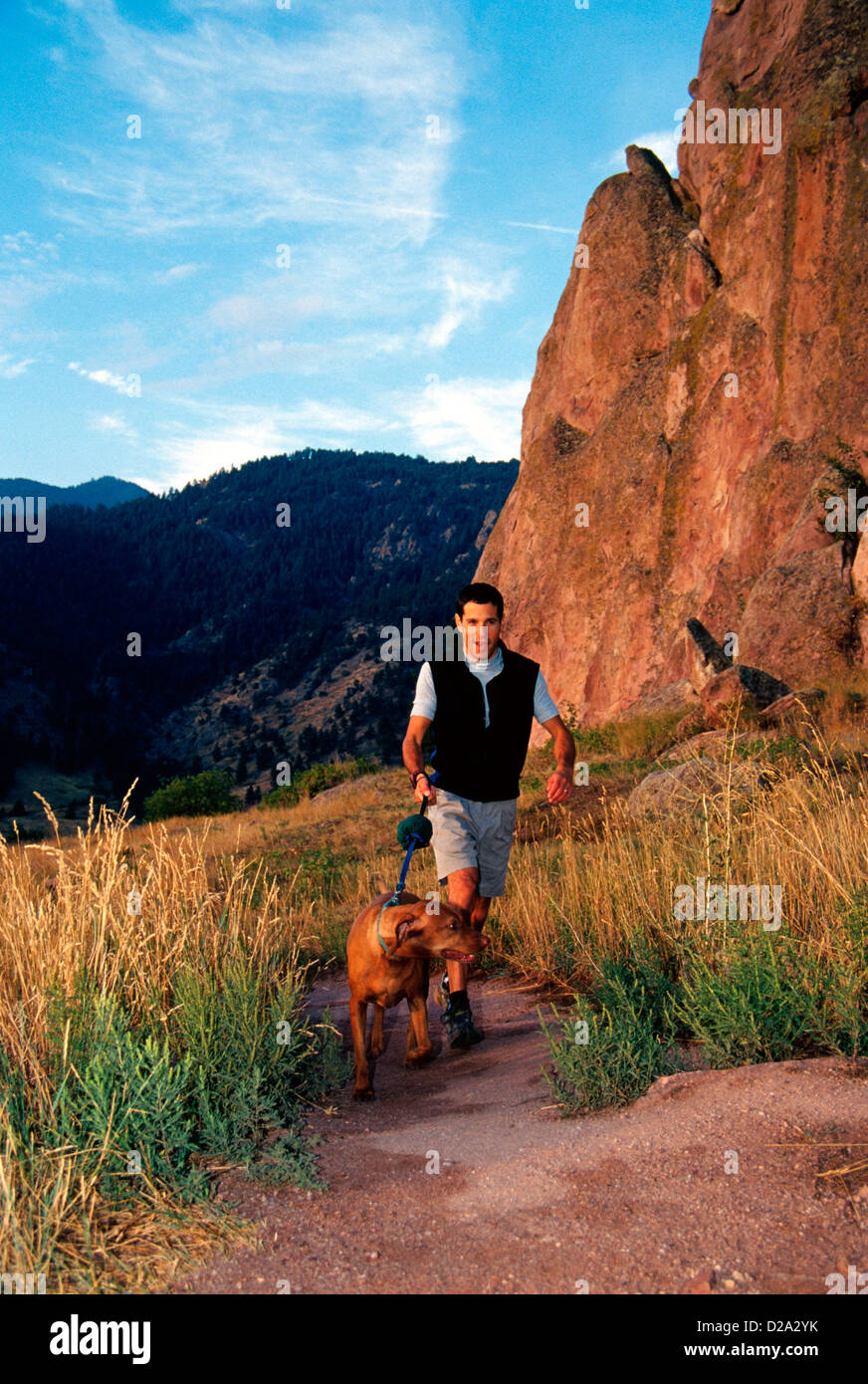 Colorado boulder man running red rocks trail sports hi-res stock ...
