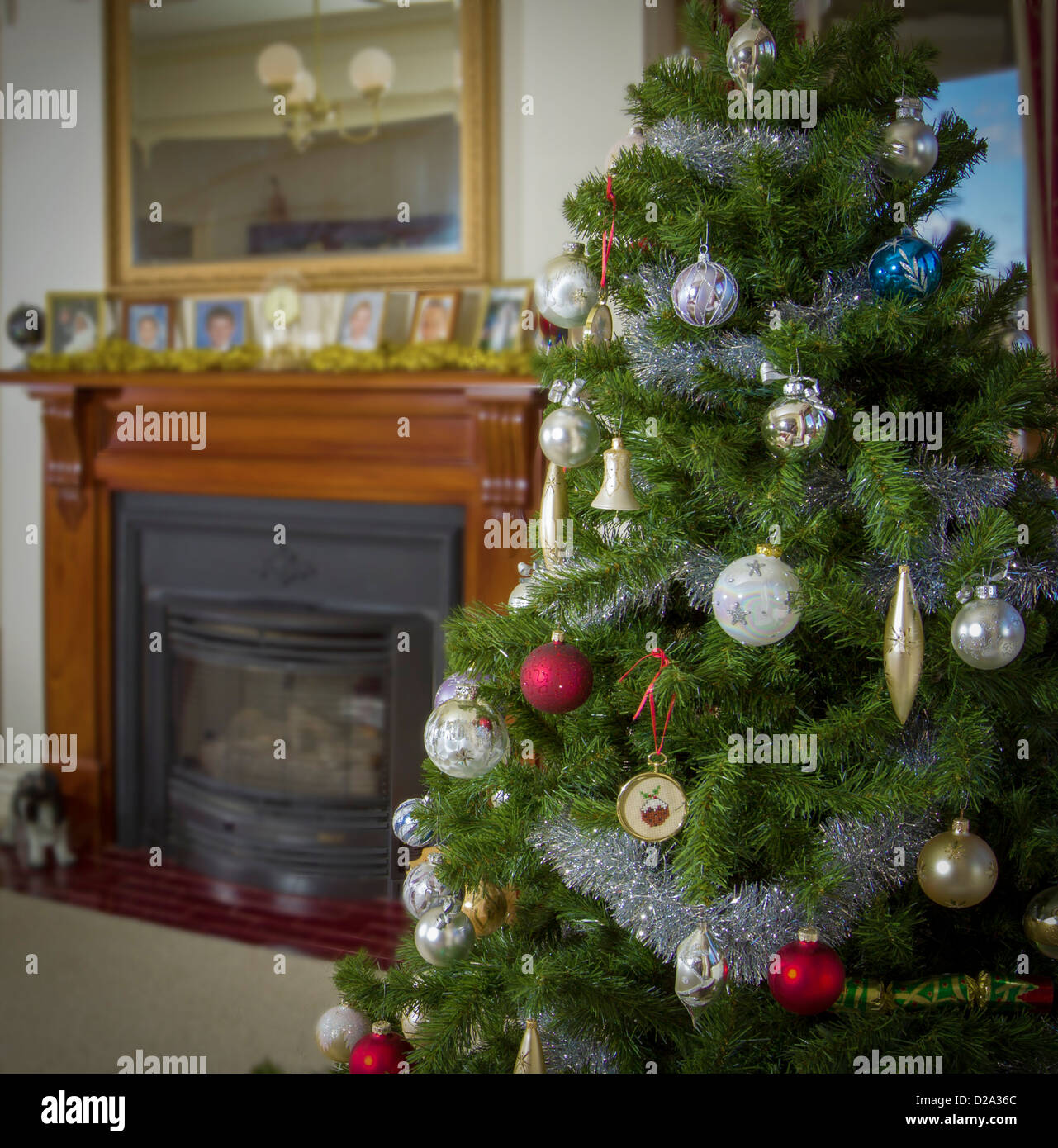 Lounge tree hi-res stock photography and images - Alamy