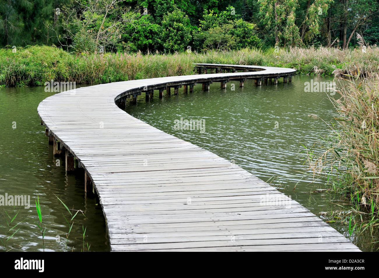 Hong Kong Wetland Park wooden walk way Stock Photo - Alamy