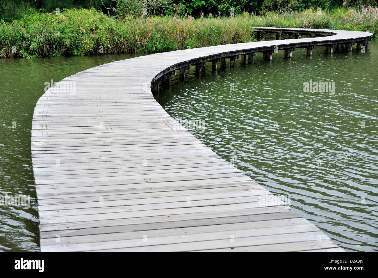 Hong Kong Wetland Park wooden walk way Stock Photo - Alamy