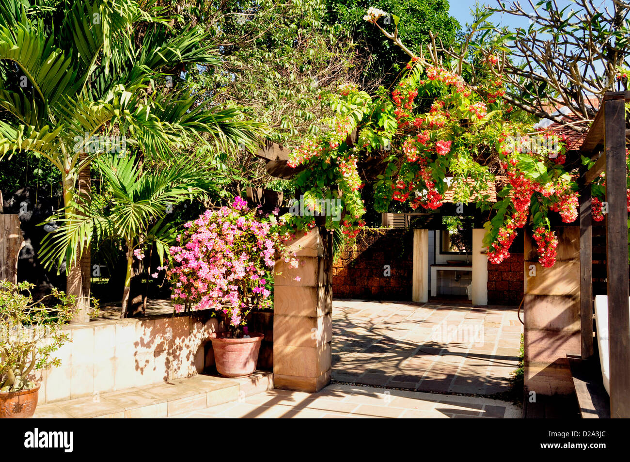 Plants assorted hi-res stock photography and images - Alamy