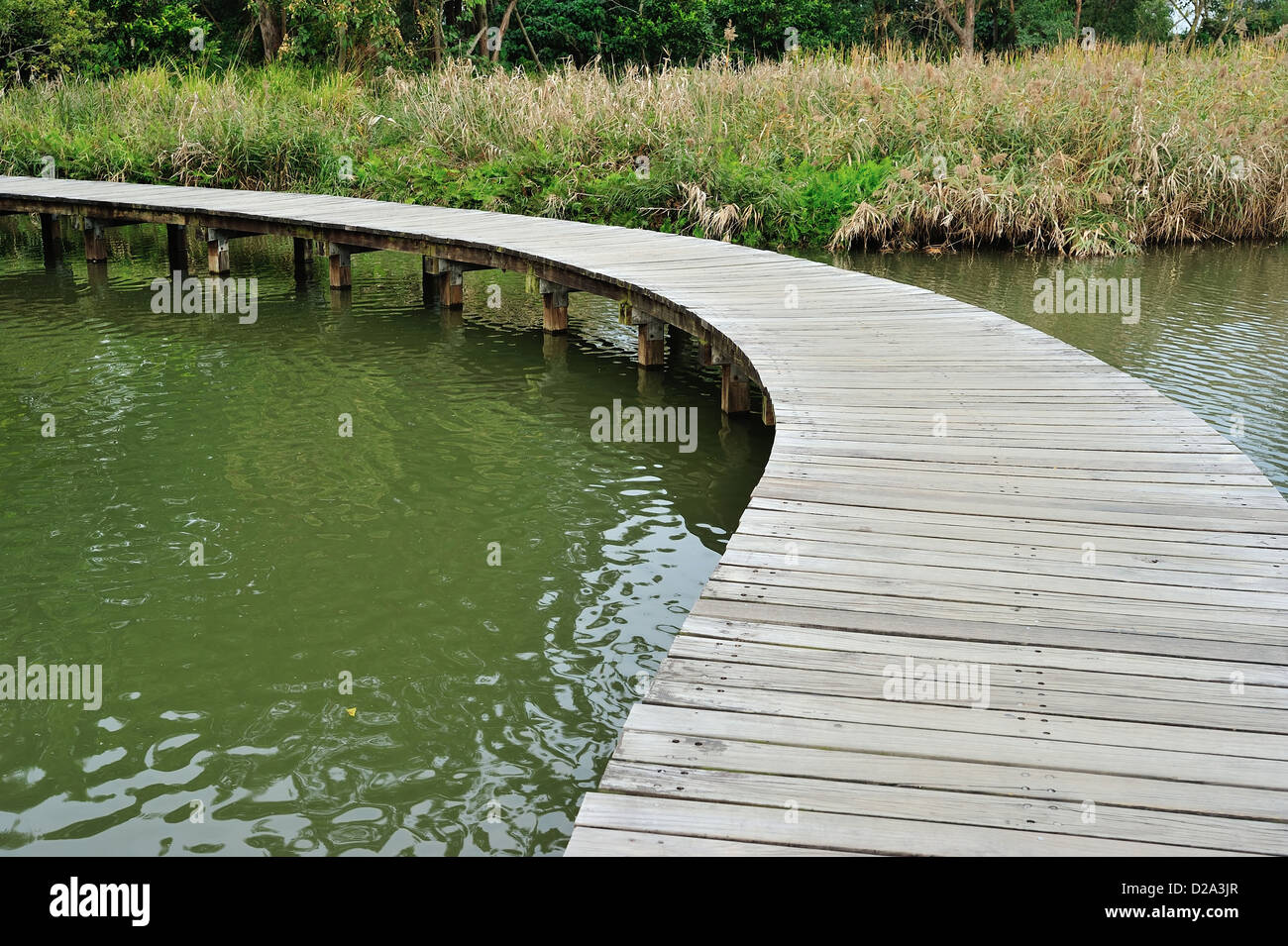 Hong Kong Wetland Park wooden walk way Stock Photo - Alamy