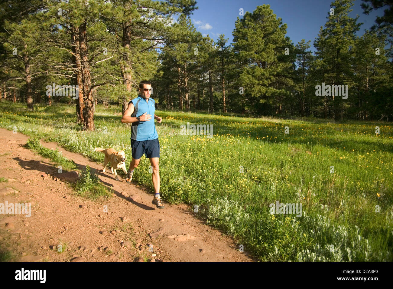 Kohler hi-res stock photography and images - Alamy