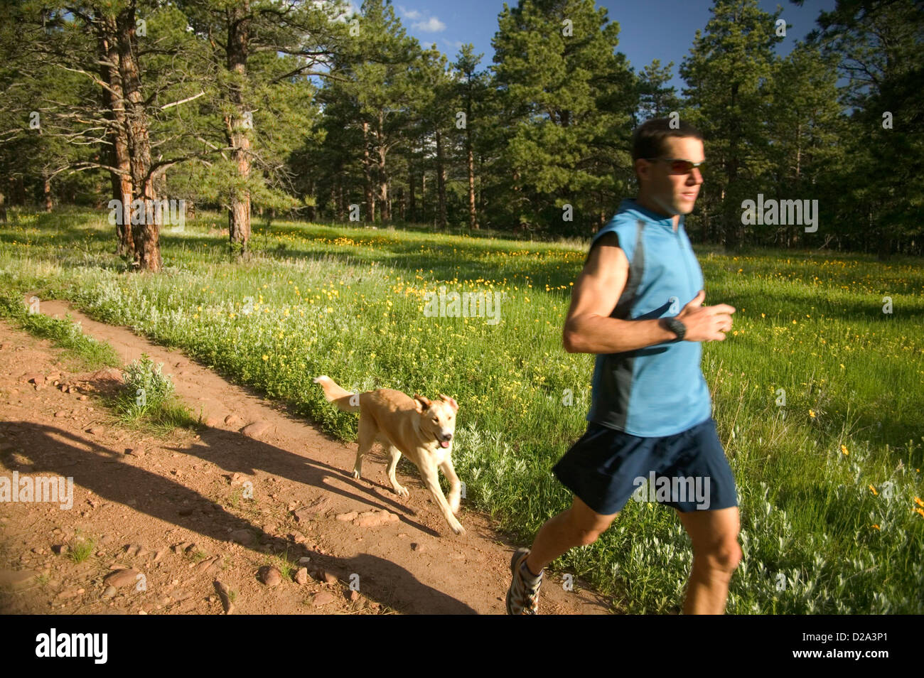 Kohler hi-res stock photography and images - Alamy