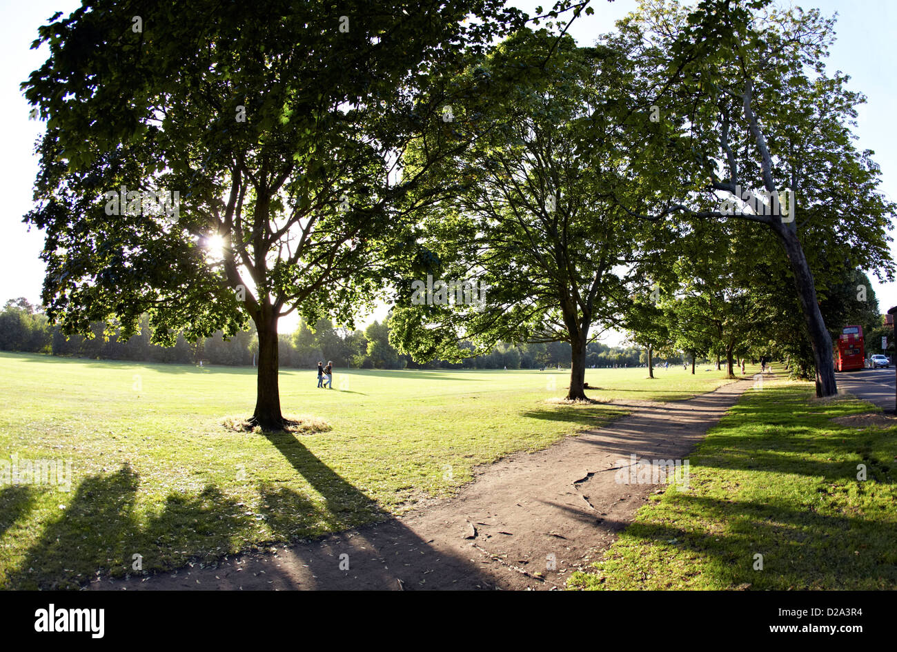 Wandsworth Common In The Summer London UK Stock Photo - Alamy