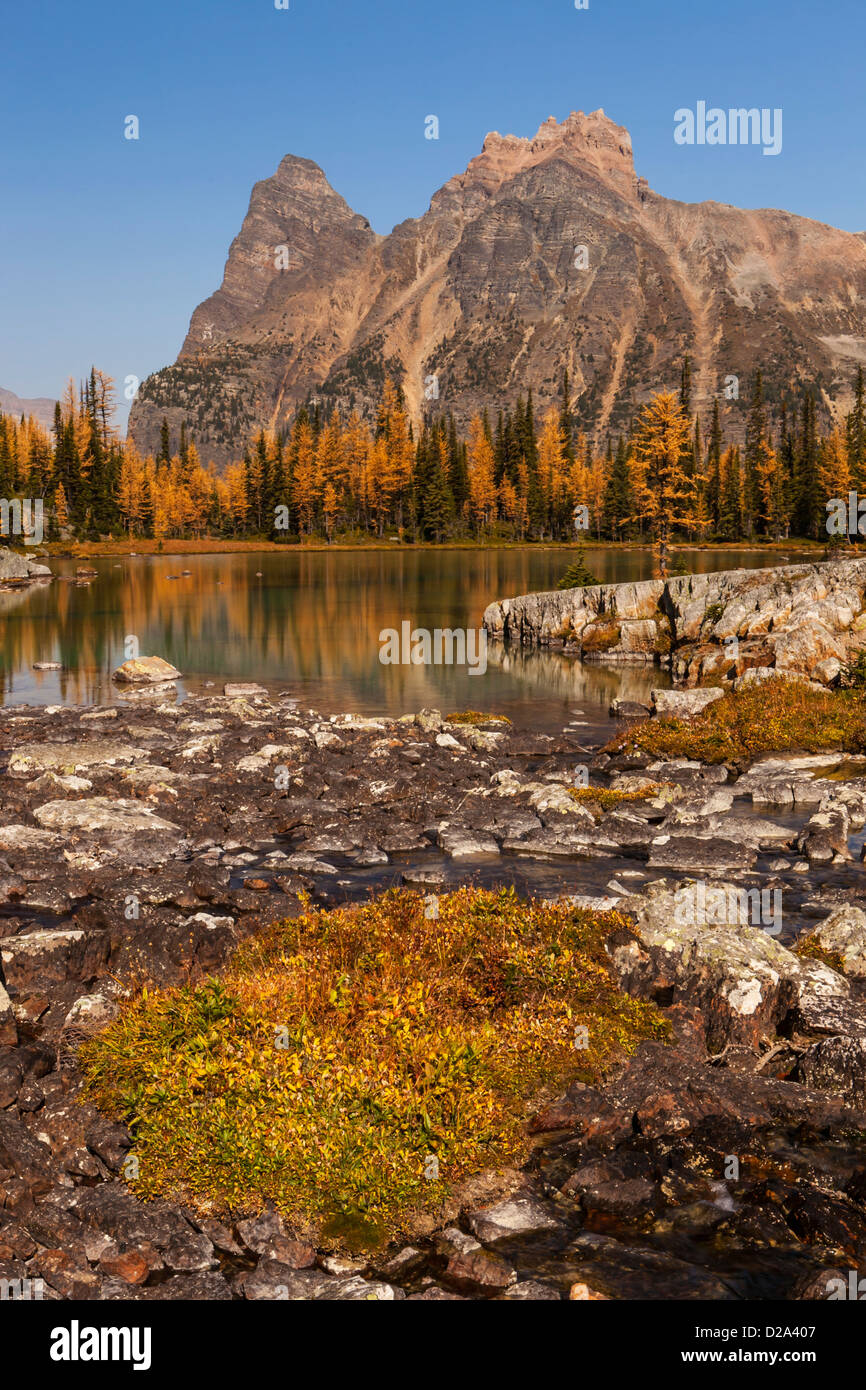 Opabin lakes hi-res stock photography and images - Alamy