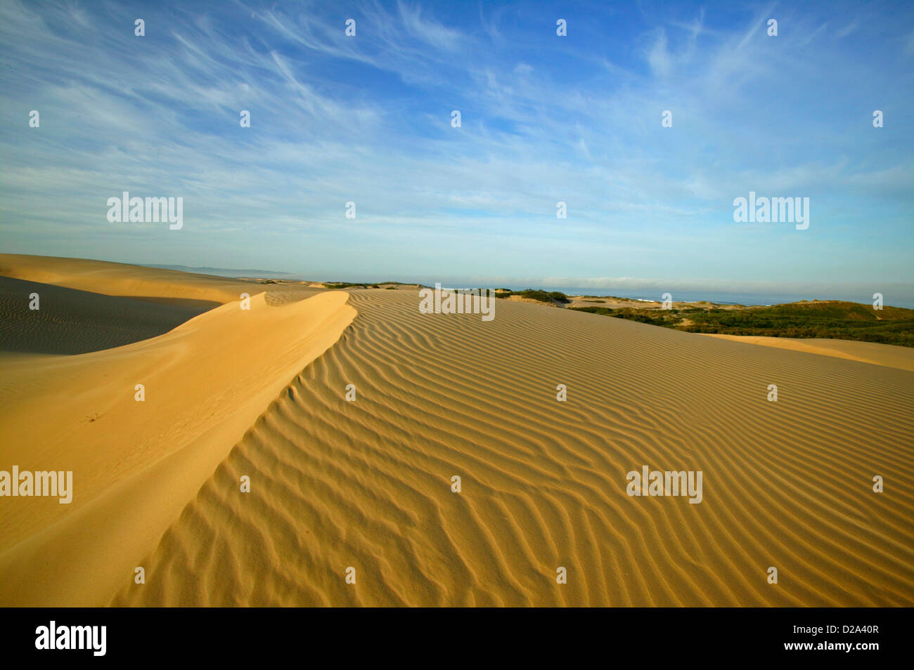 Nipomo california hi-res stock photography and images - Alamy