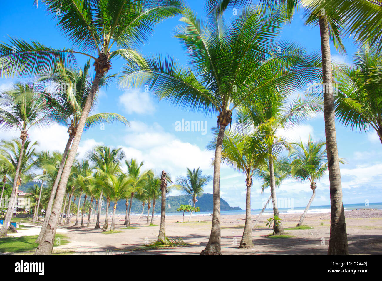 Beautiful Beach in Costa Rica Stock Photo - Alamy