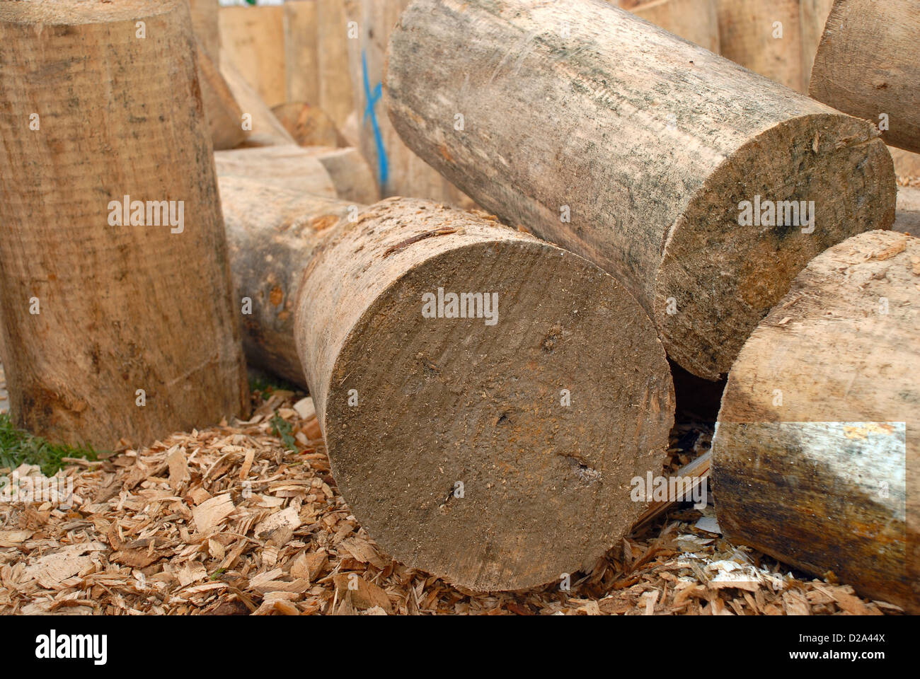 Timber sport hi-res stock photography and images - Alamy