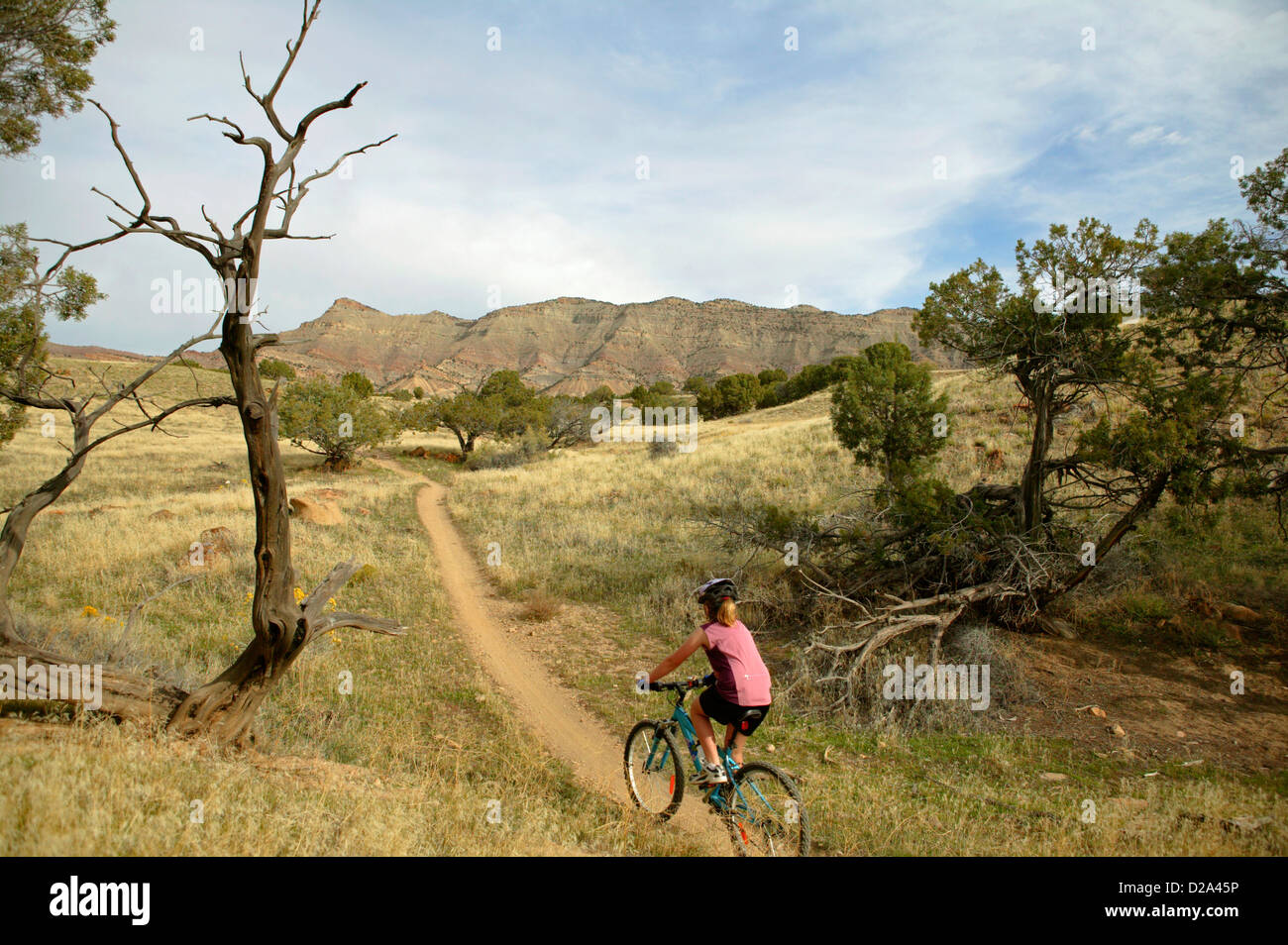 Young Girl (8) Mountain Biking On The Trails Near Fruita, Colorado ...